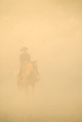 Stop Arena Dust - MAG Flakes for Dust Control